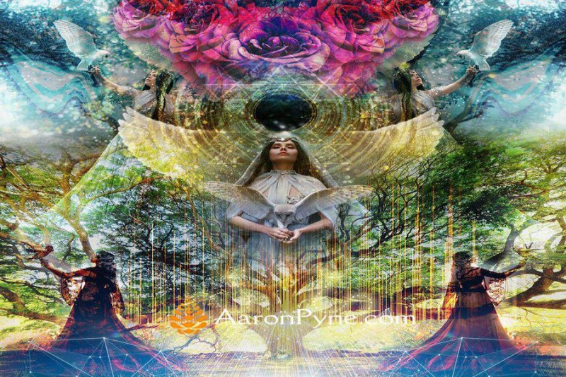 Goddess of the Realms - Aaron Pyne - The Elven Wizard